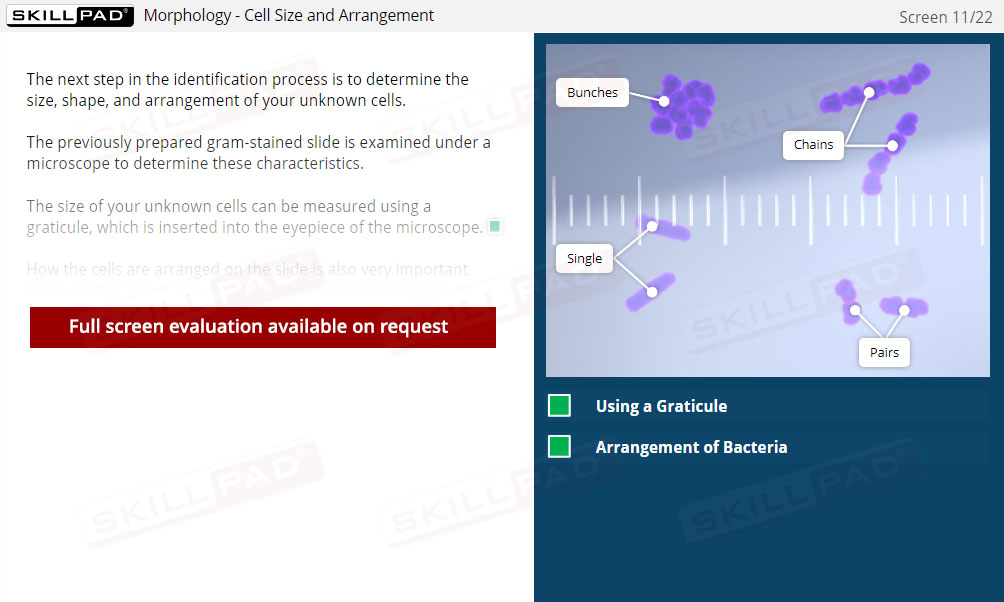 Unknown Bacterial Identification - Skillpad - Digital Learning for Life ...
