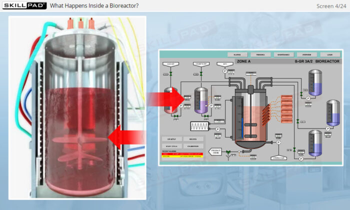 Ultrafiltration & Diafiltration | UF/DF Training Module