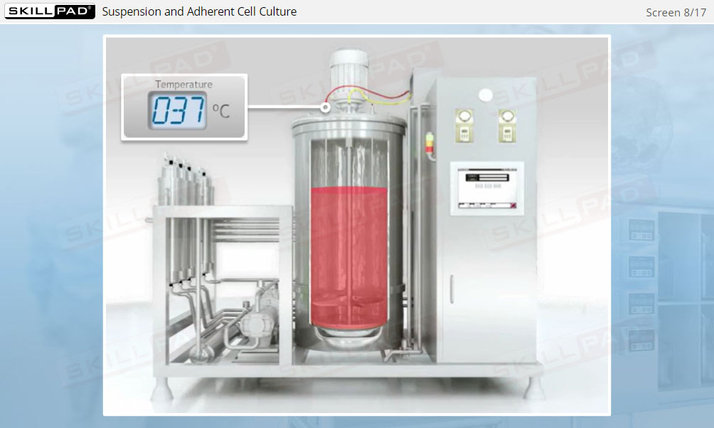 Cell Culture Training | Biopharma Manufacturing Module