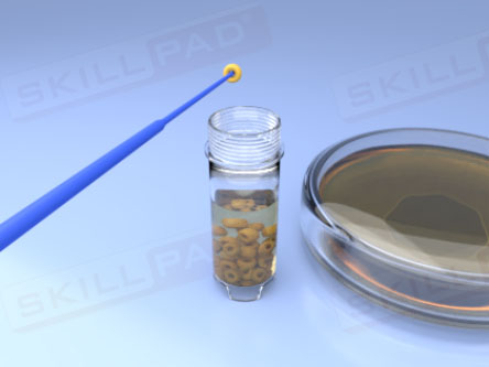 Basic Microbiology Techniques | Culture & Media Training